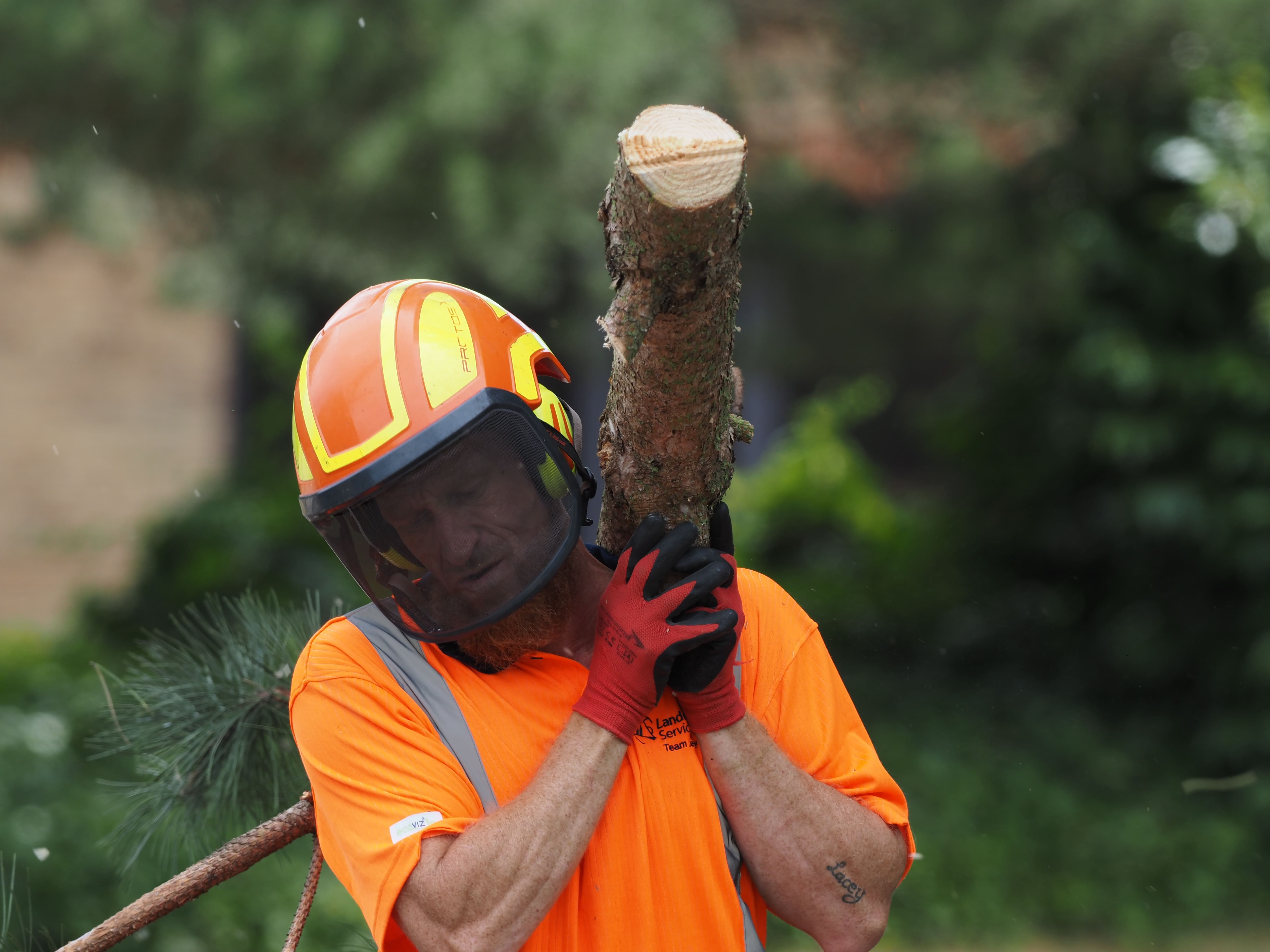 Arboricultural Services | Landscape Services