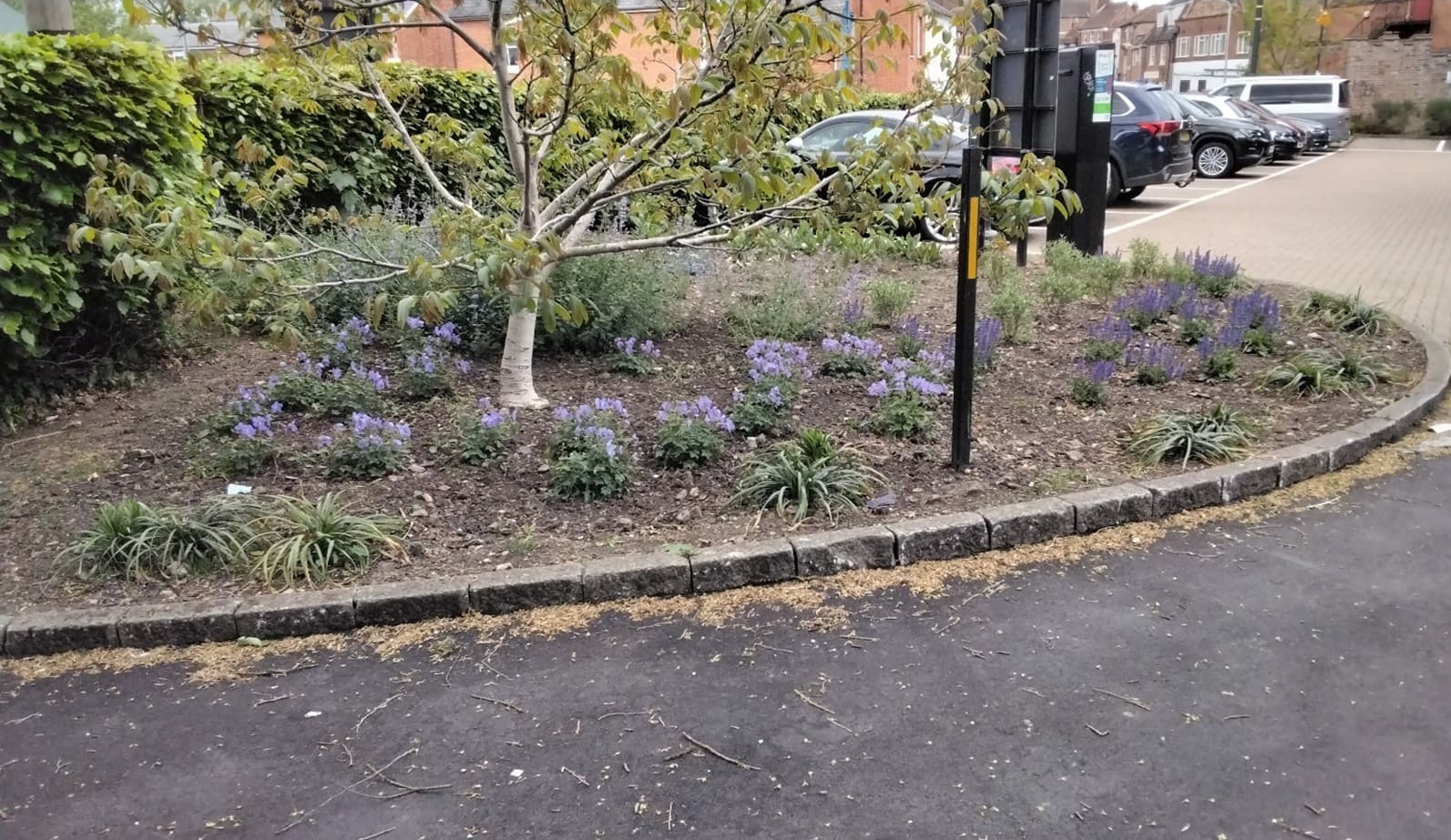 Border Planting Schemes | Landscape Services