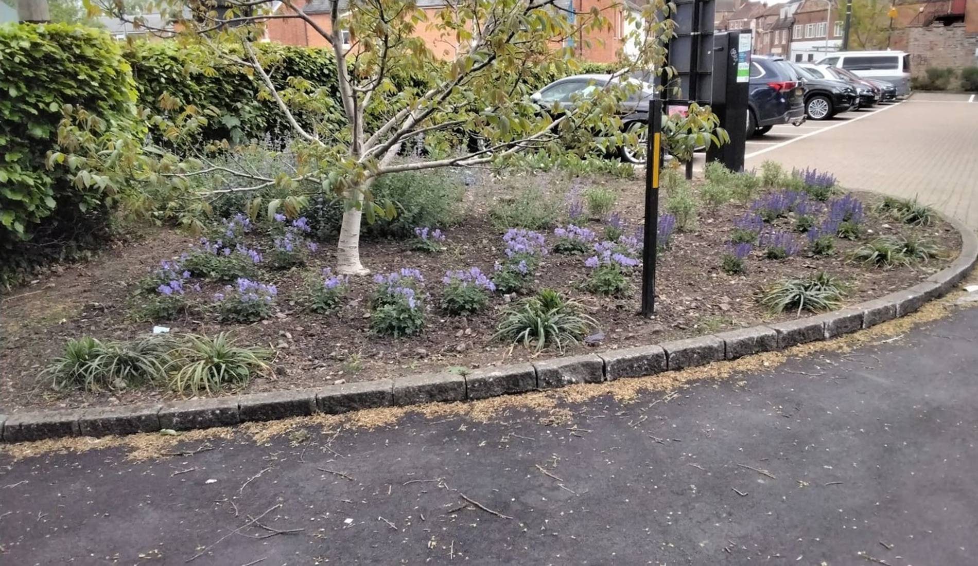 Border Planting Schemes | Landscape Services