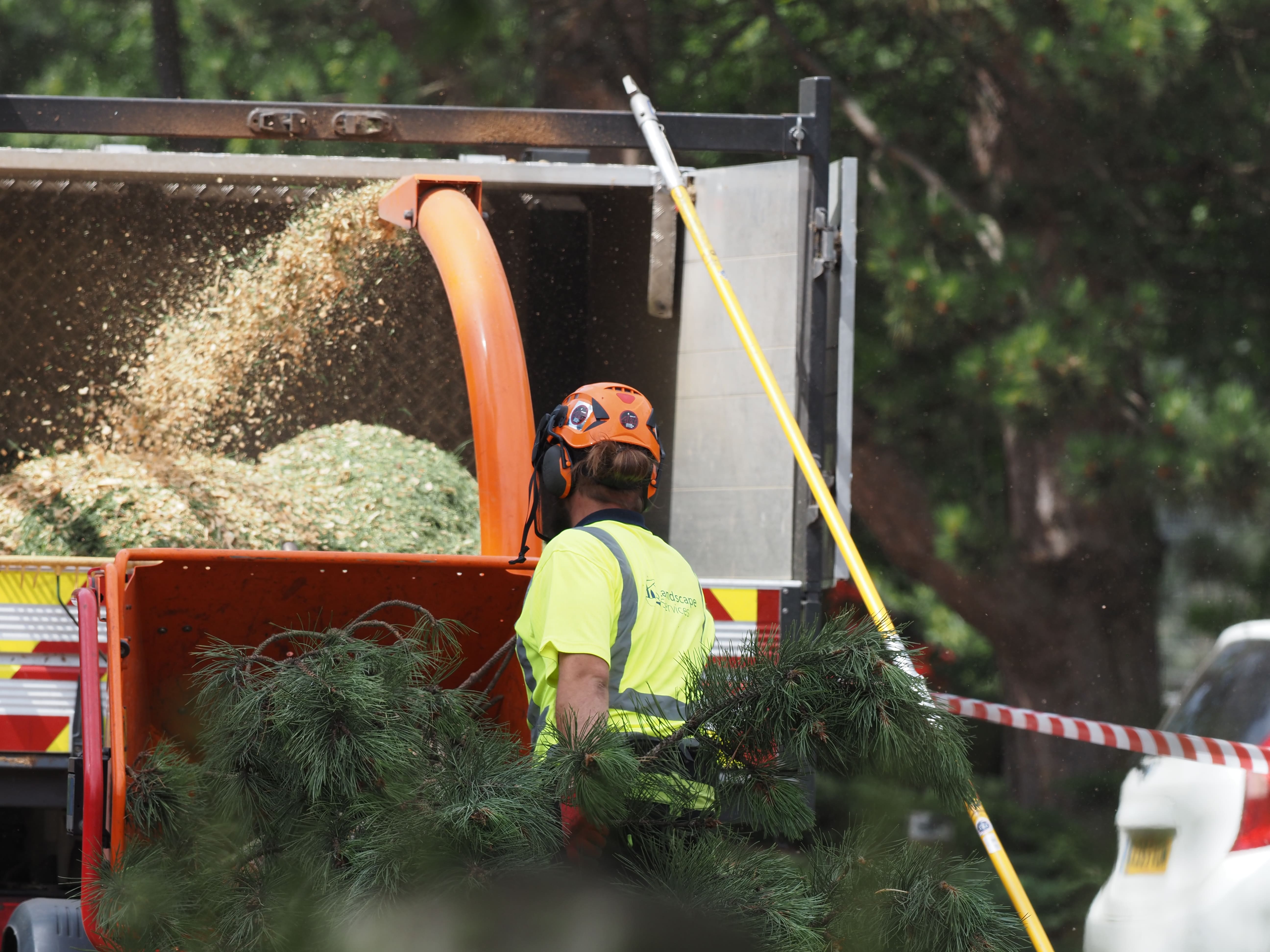 Arboricultural Services | Landscape Services