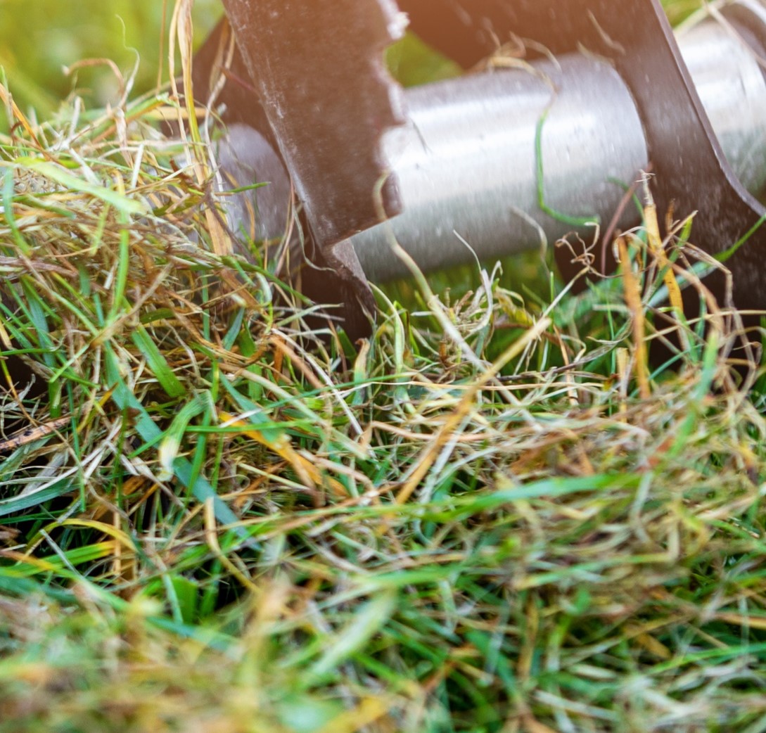 Commercial Scarification Services | Landscape Services