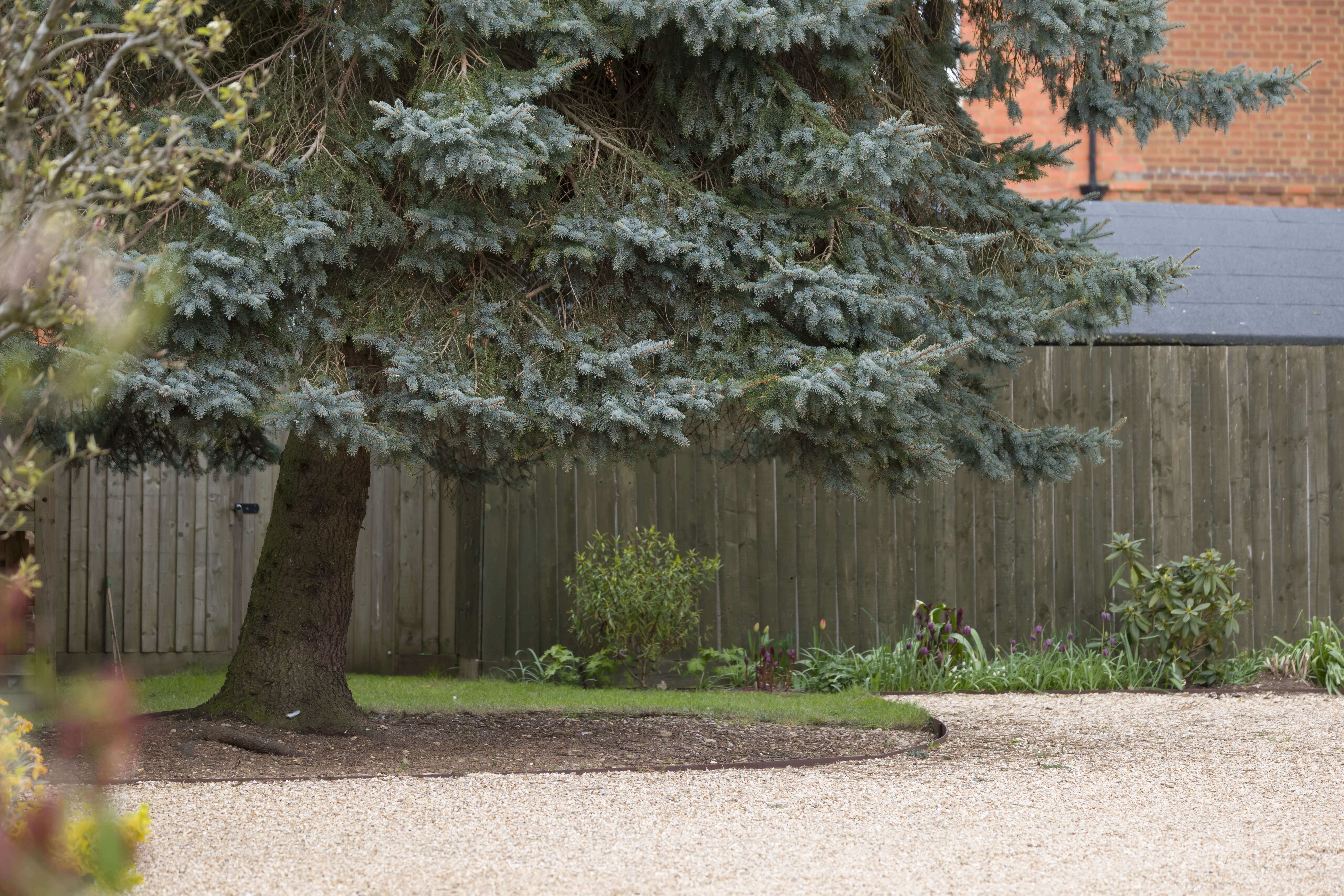 Arboricultural Services | Landscape Services