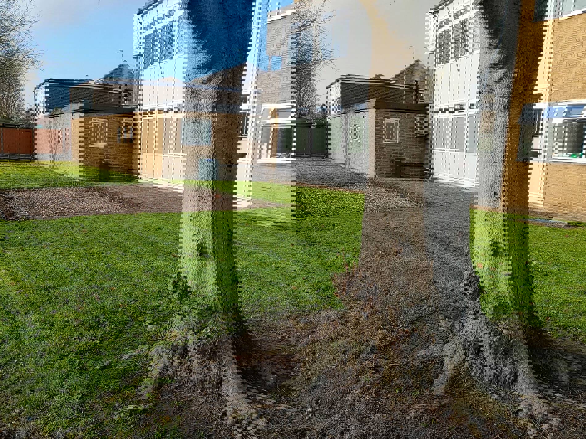 Grass Precision Edging | Landscape Services