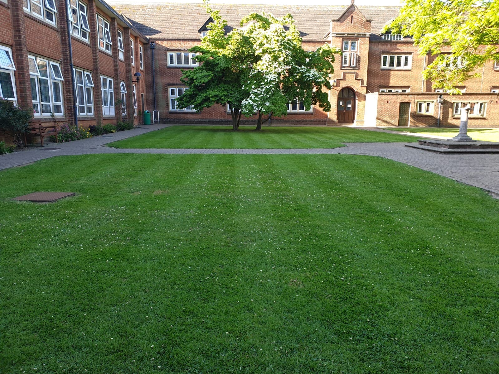 Maidstone Grammar School | Landscape Services